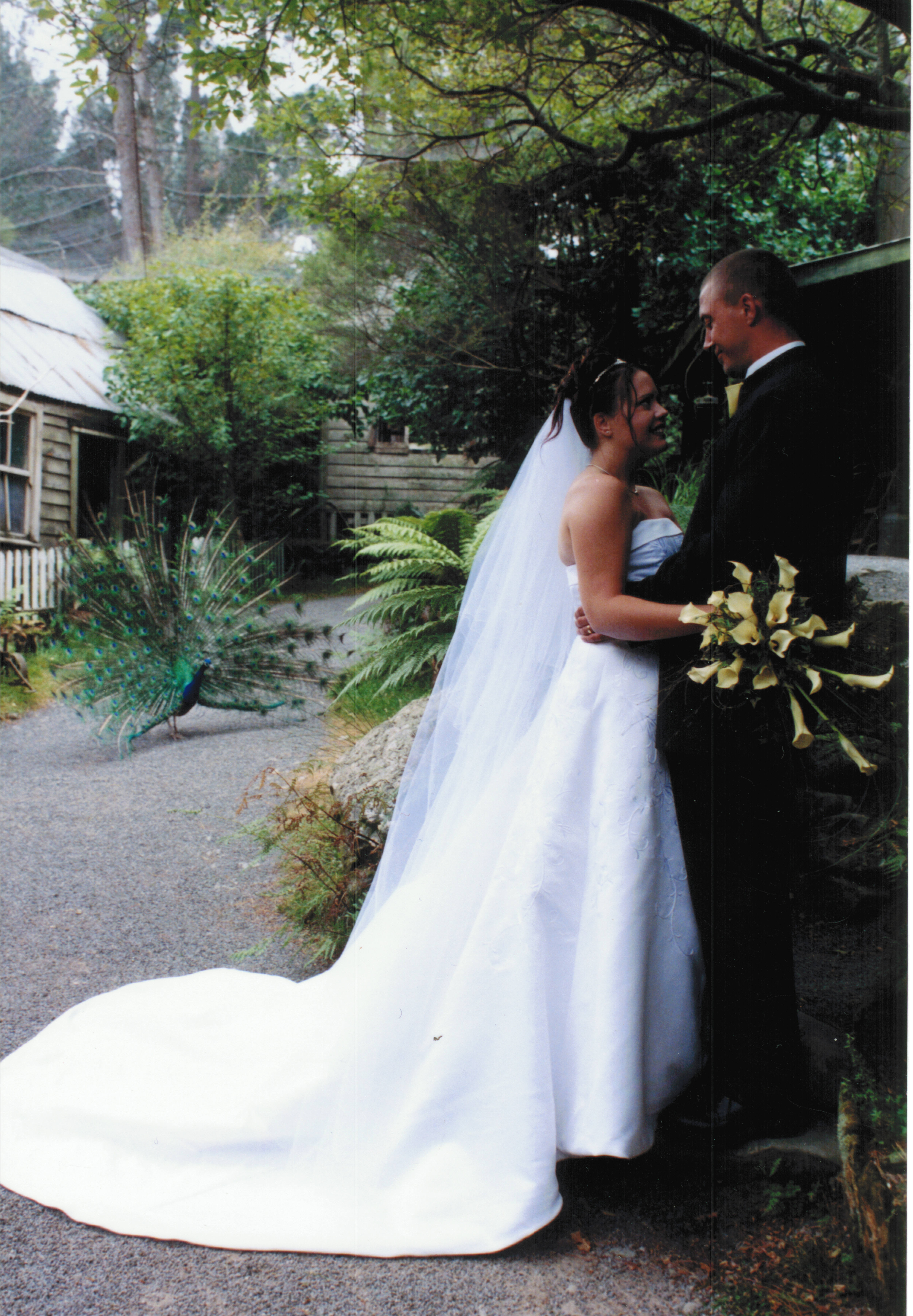Staglands Venues & Events | Wellington | Staglands Wildlife Reserve