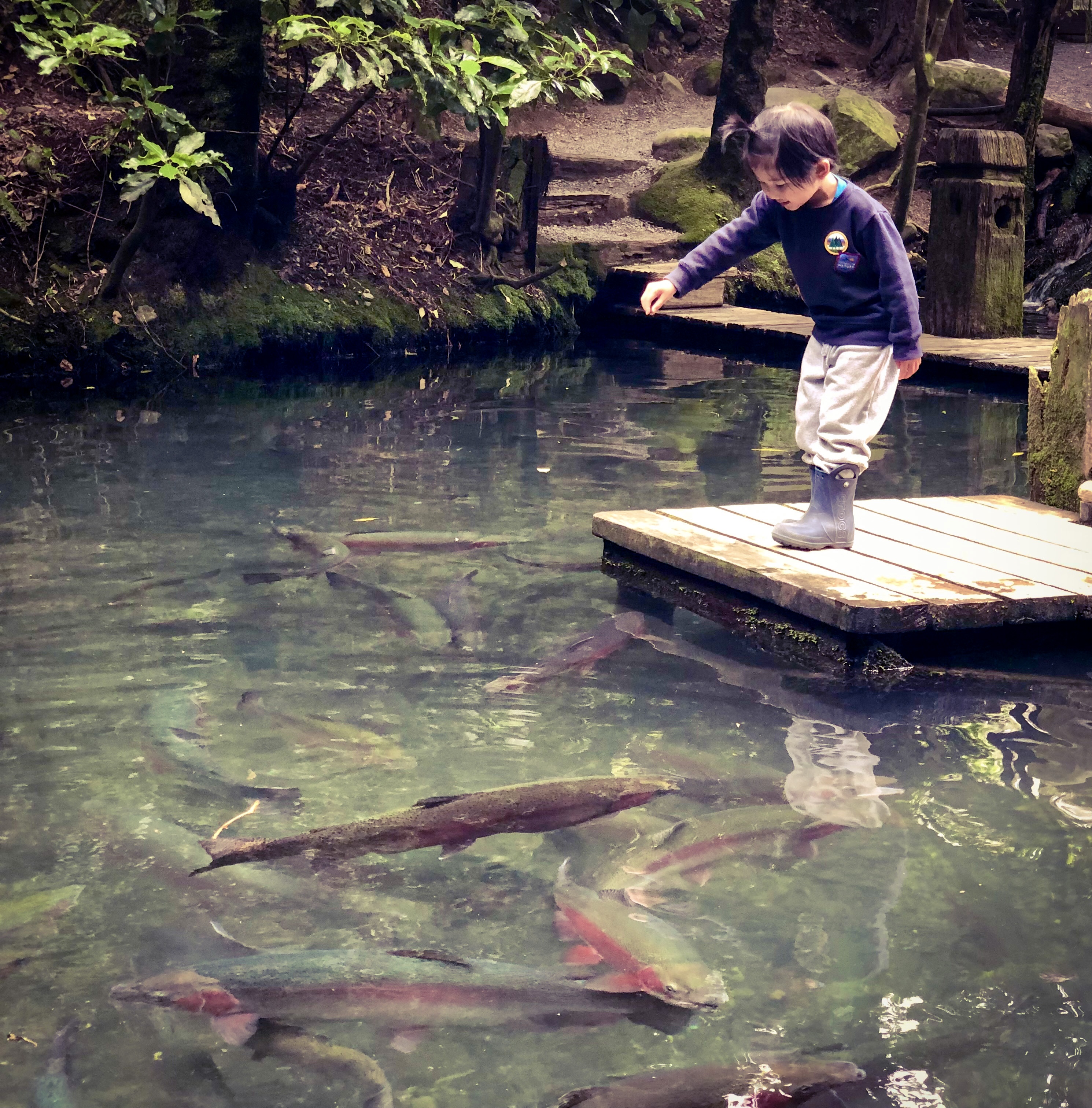 What's on at Staglands | Wellington Attractions | Wildlife Park ...