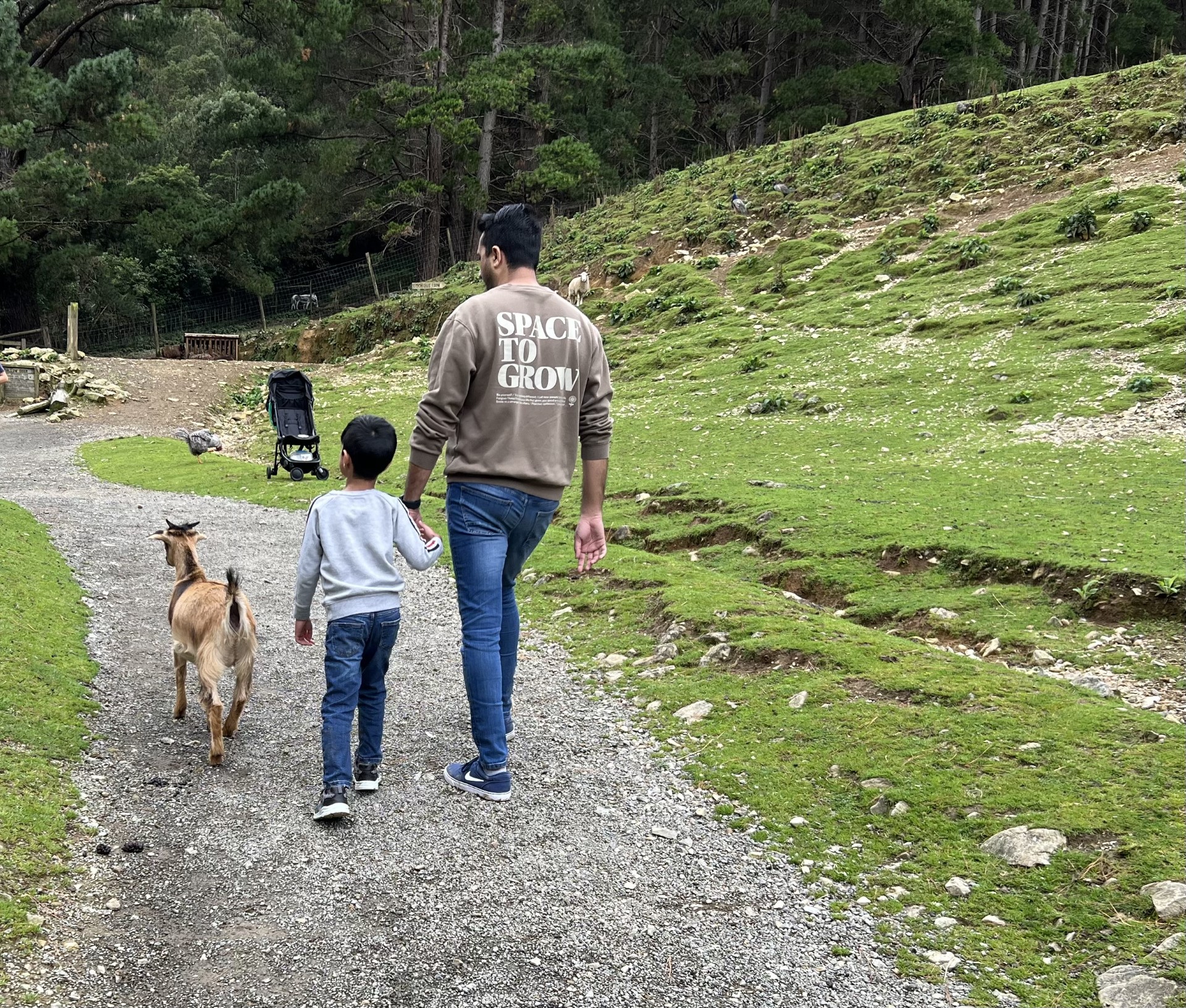 What's on at Staglands | Wellington | Staglands Wildlife Reserve