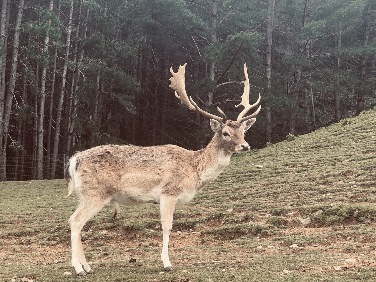 What's on at Staglands | Wellington | Staglands Wildlife Reserve
