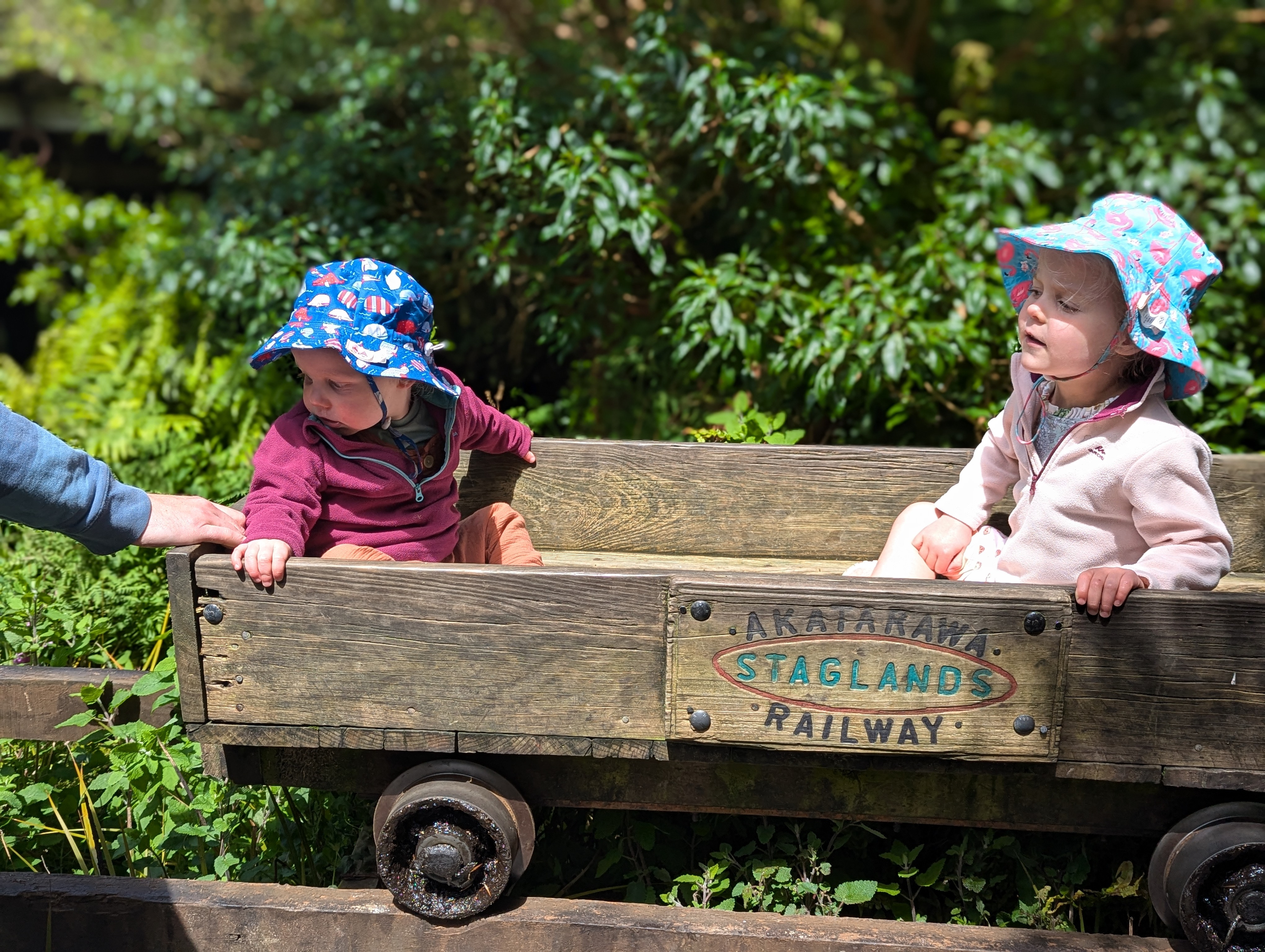 What's on at Staglands | Wellington | Staglands Wildlife Reserve