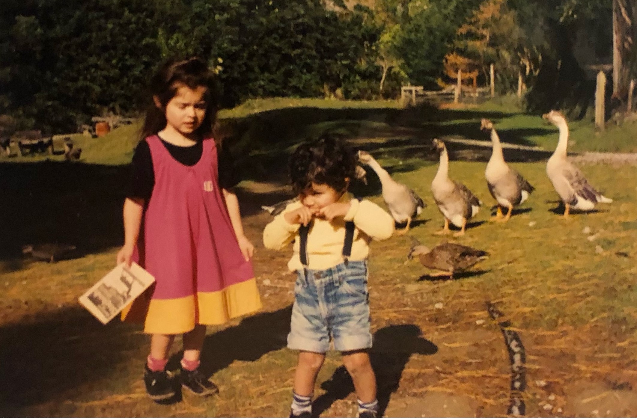 What's on at Staglands | Wellington | Staglands Wildlife Reserve