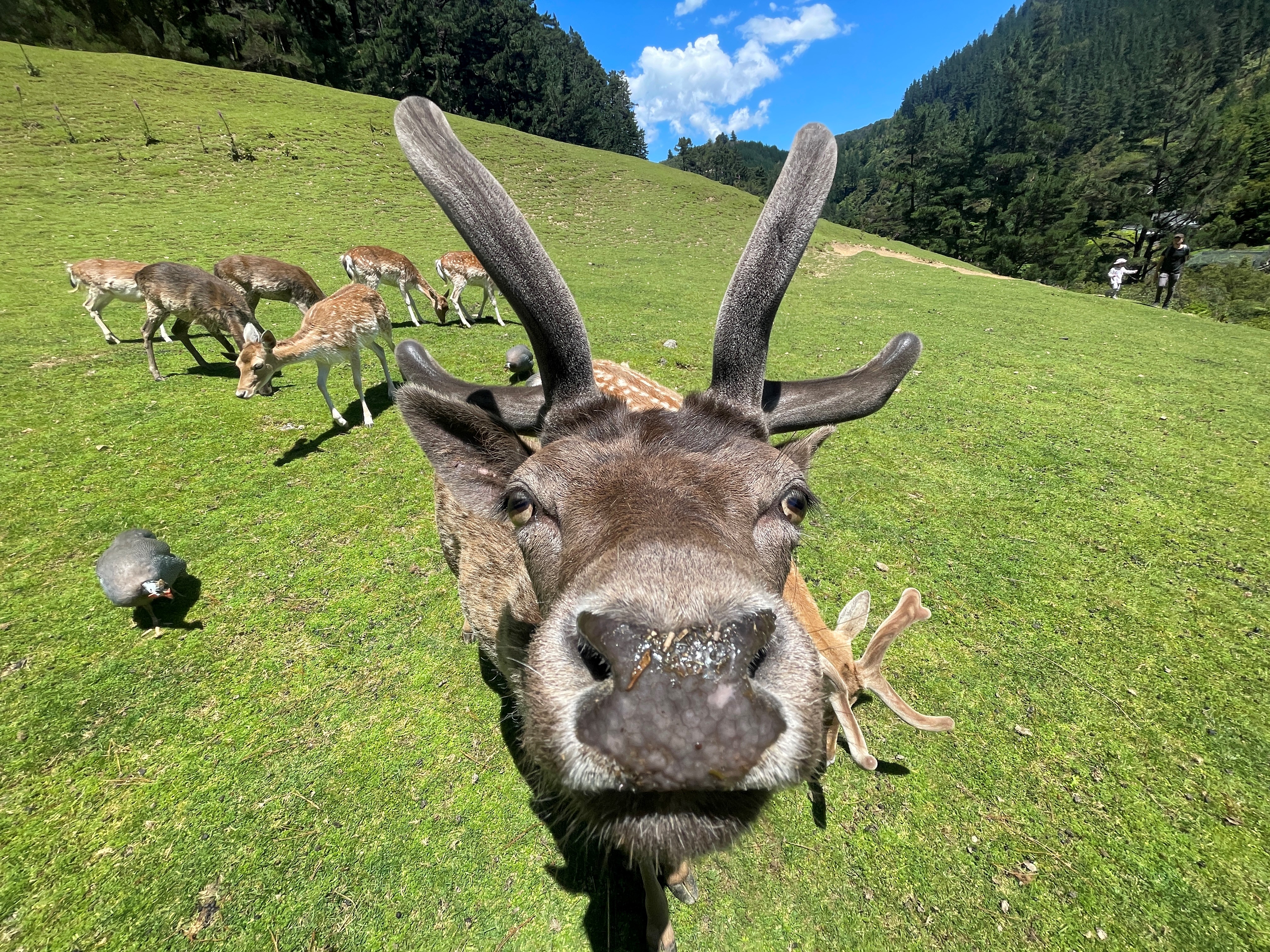 What's on at Staglands | Wellington | Staglands Wildlife Reserve