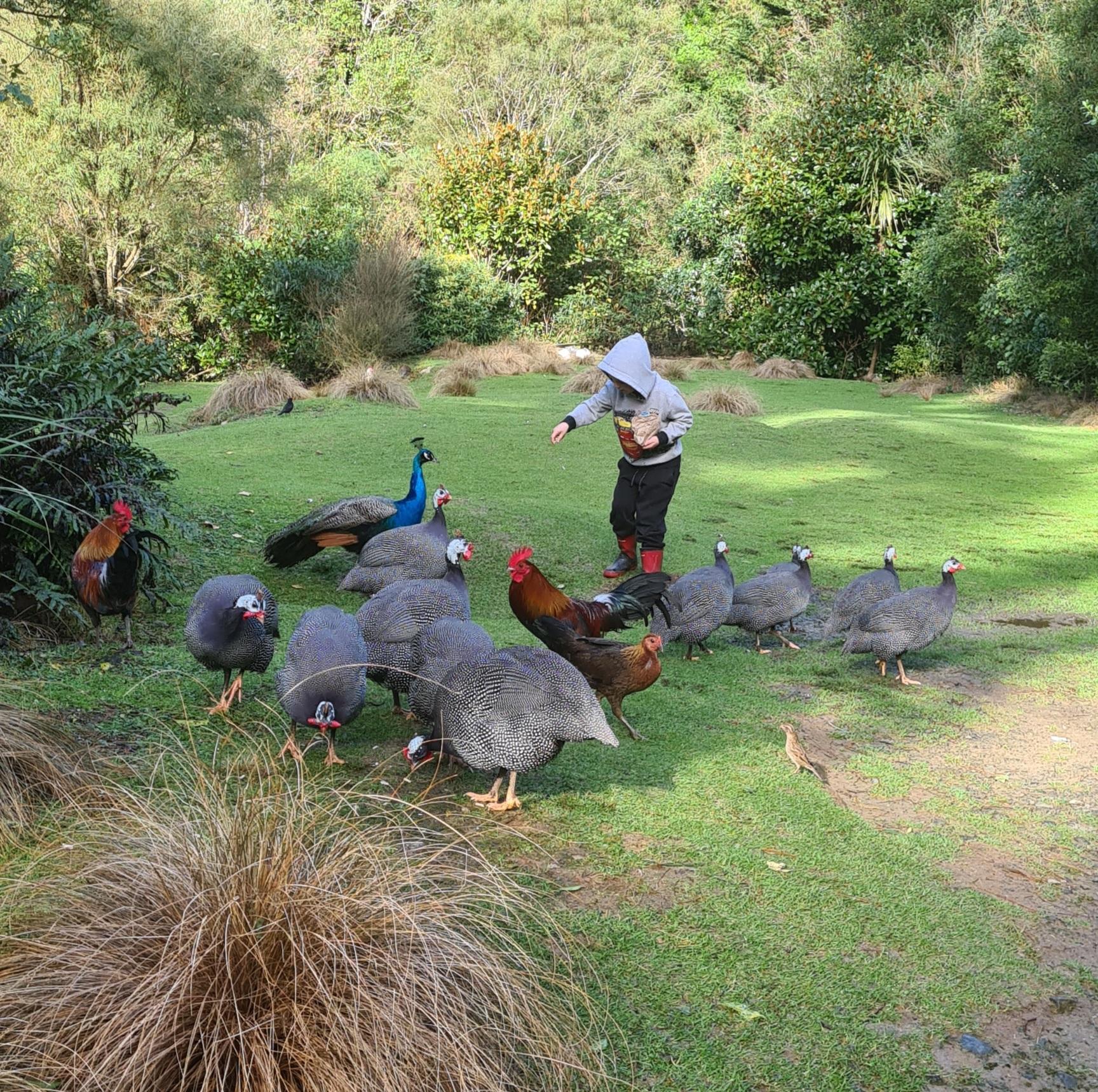 What's on at Staglands | Wellington | Staglands Wildlife Reserve