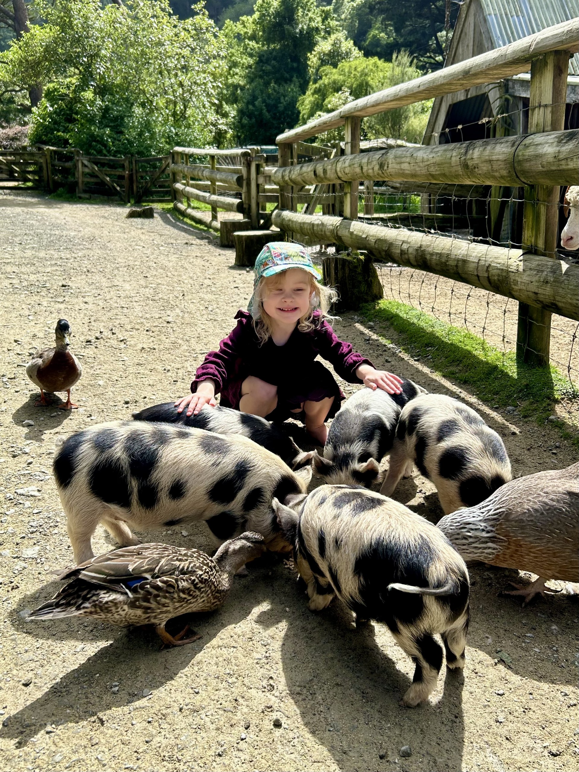What's on at Staglands | Wellington | Staglands Wildlife Reserve