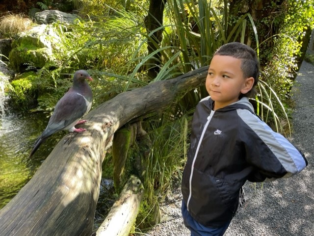 What's on at Staglands | Wellington | Staglands Wildlife Reserve