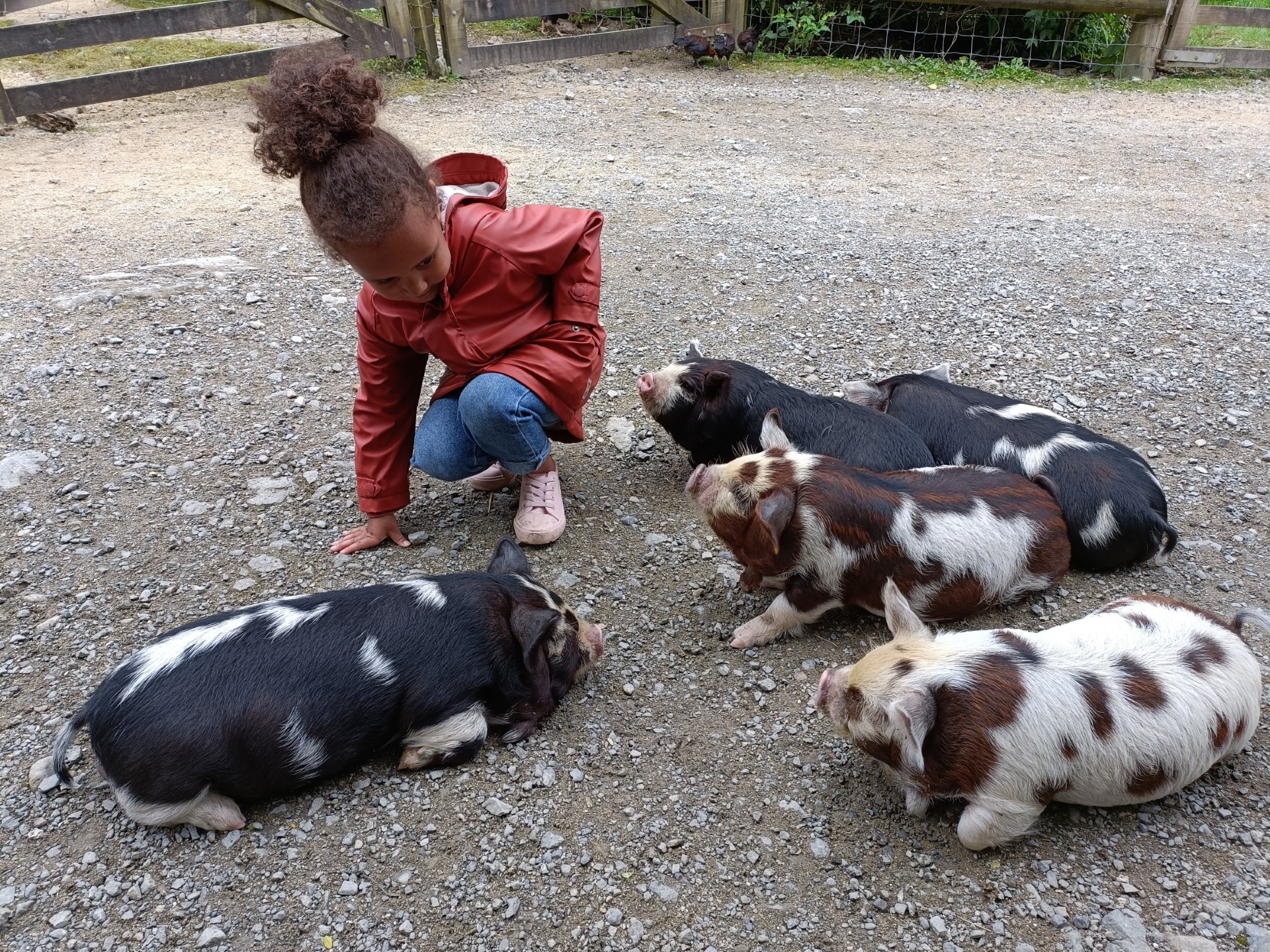 What's on at Staglands | Wellington | Staglands Wildlife Reserve