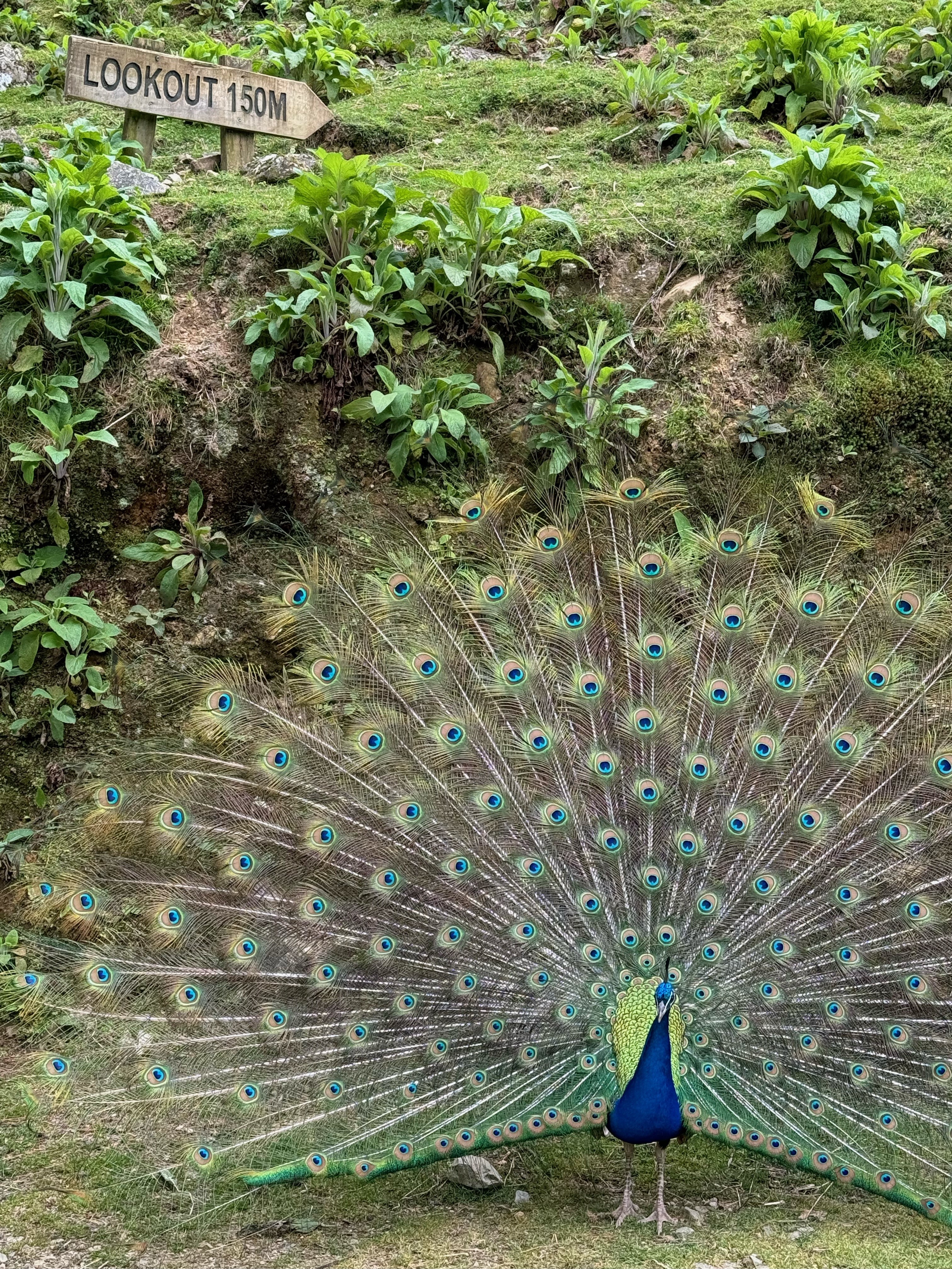 What's on at Staglands | Wellington | Staglands Wildlife Reserve
