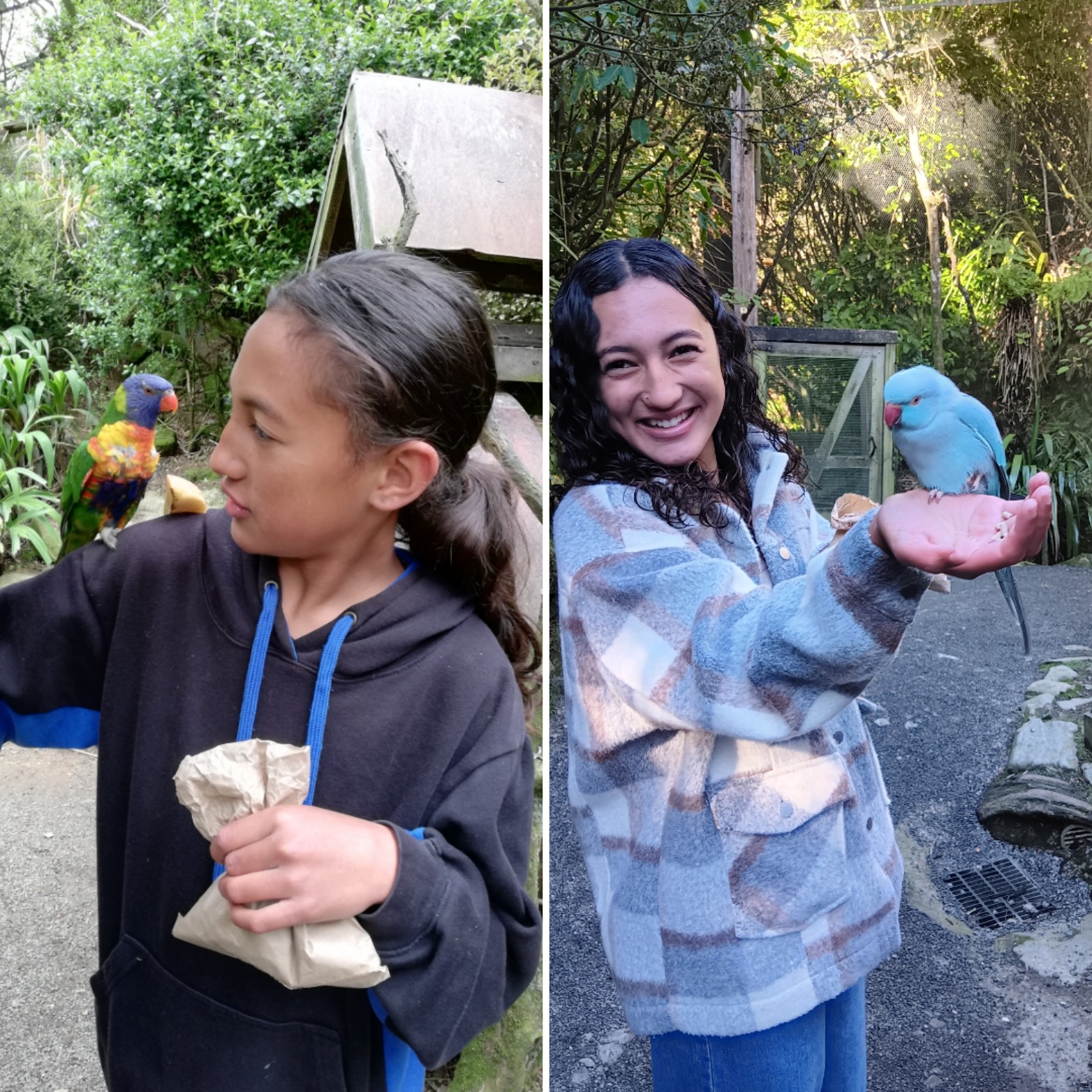 What's on at Staglands | Wellington | Staglands Wildlife Reserve