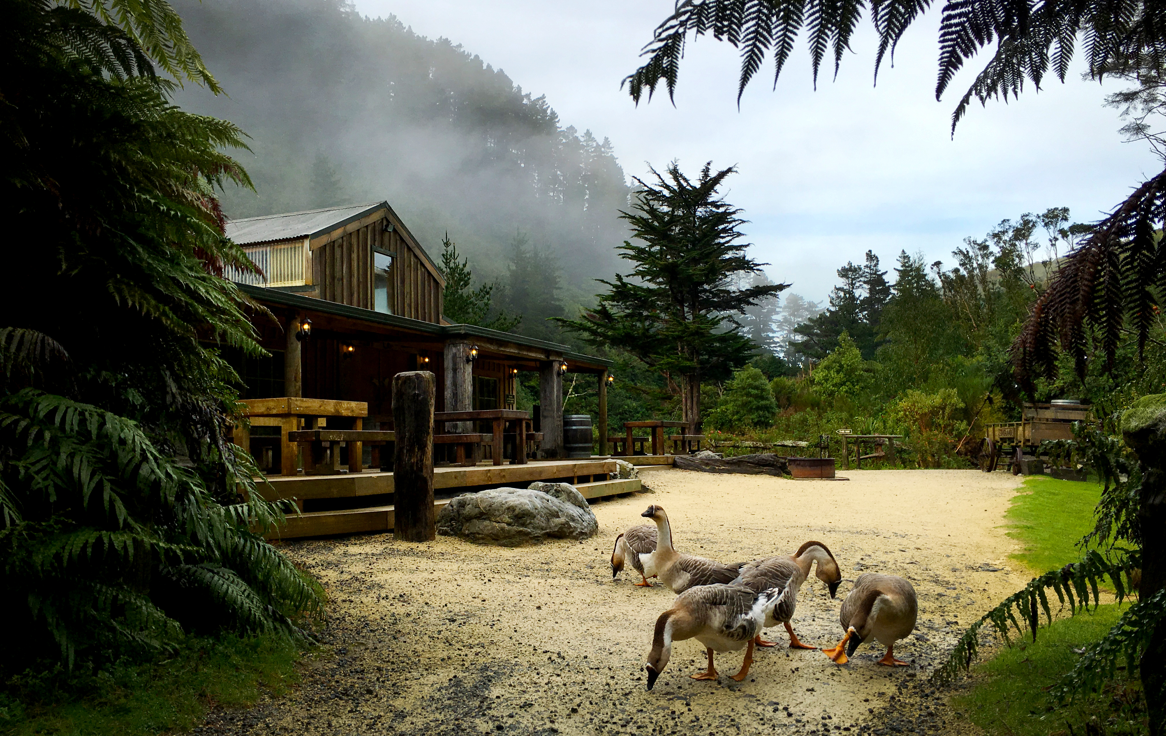 Staglands Venues & Events | Wellington | Staglands Wildlife Reserve