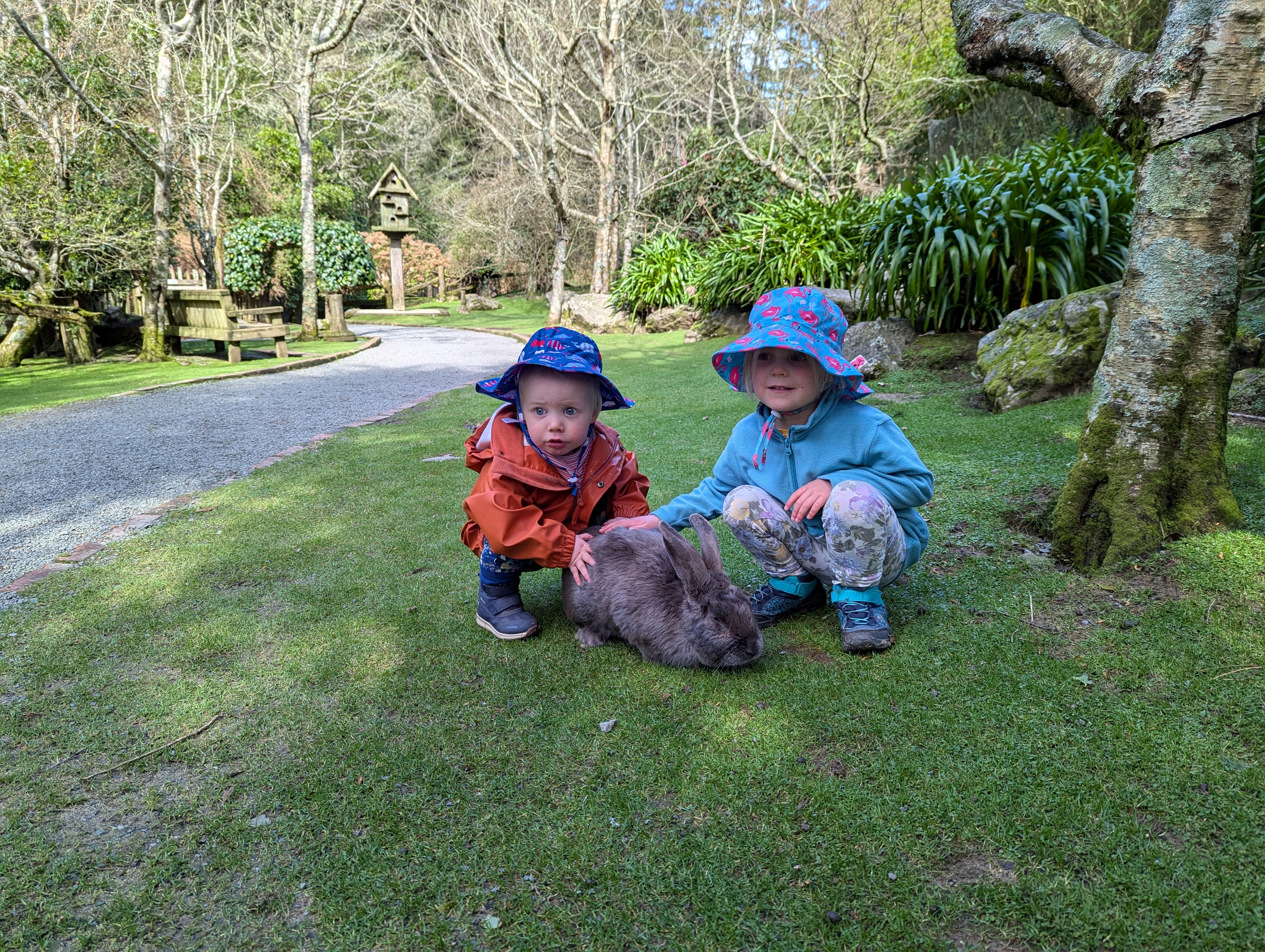What's on at Staglands | Wellington | Staglands Wildlife Reserve