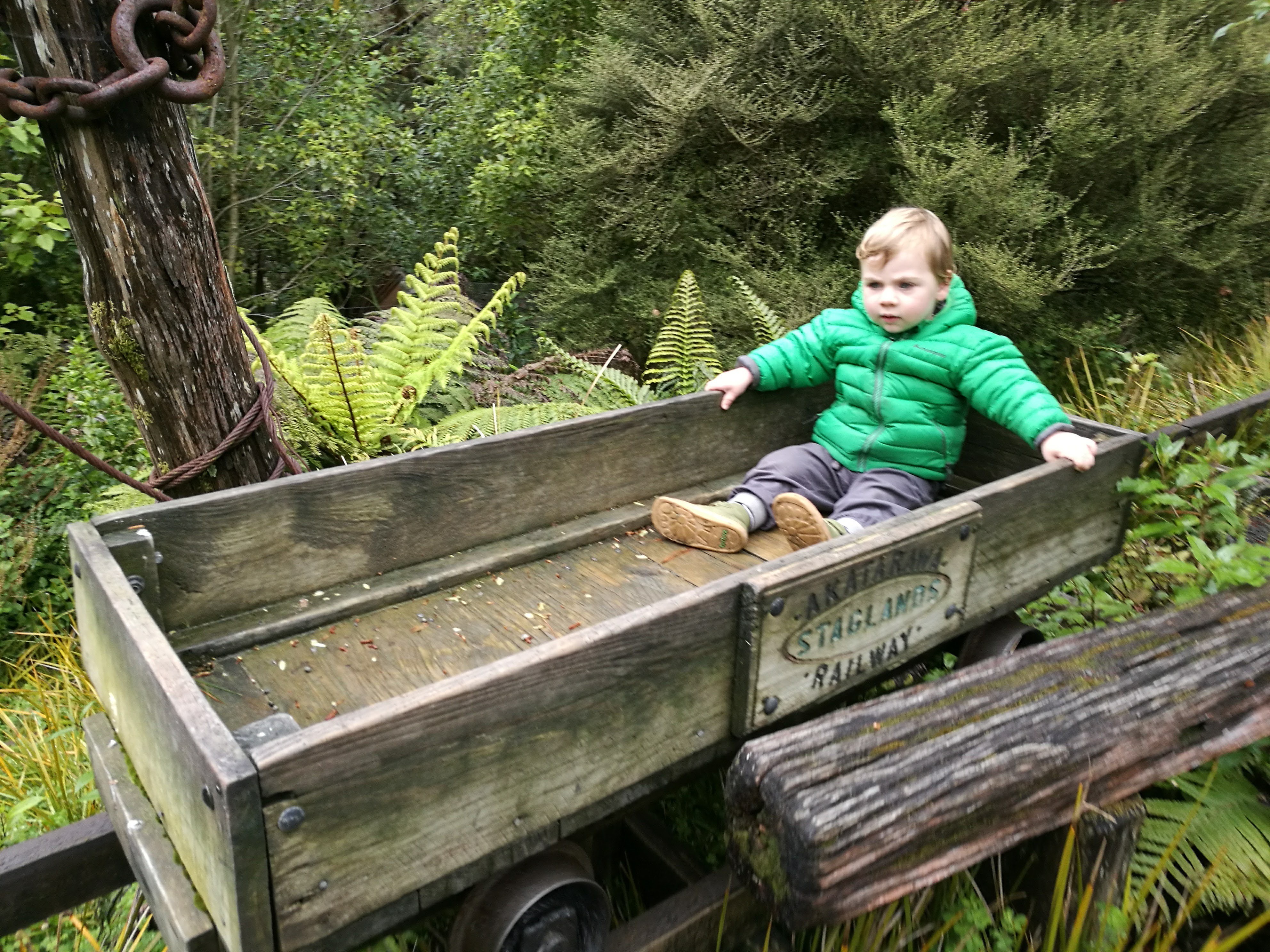 What's on at Staglands | Wellington Attractions | Wildlife Park ...