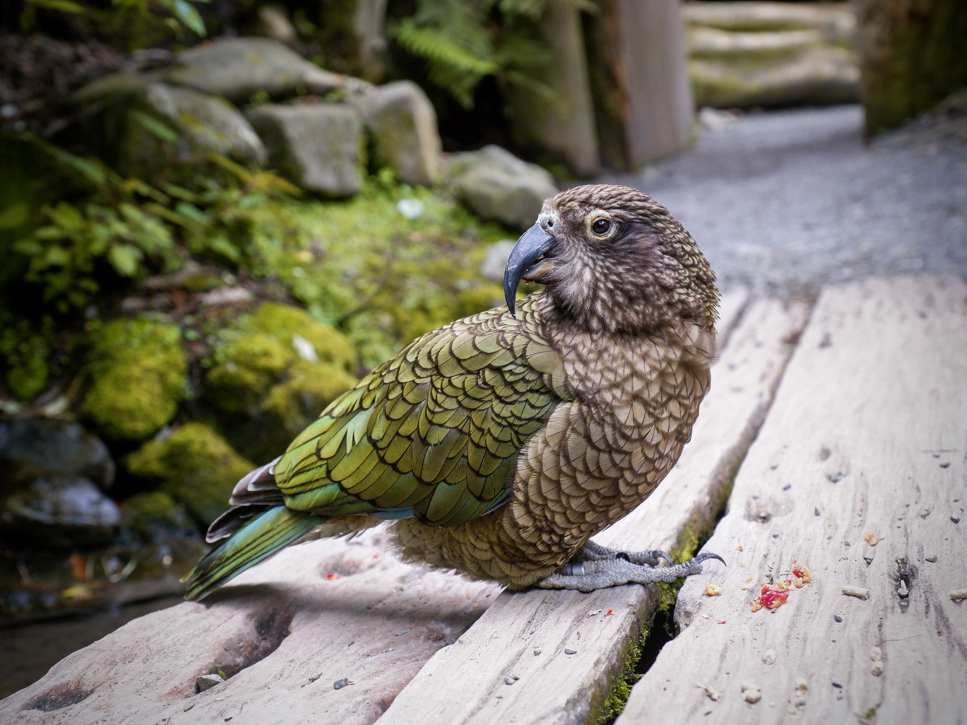 What's on at Staglands | Wellington | Staglands Wildlife Reserve