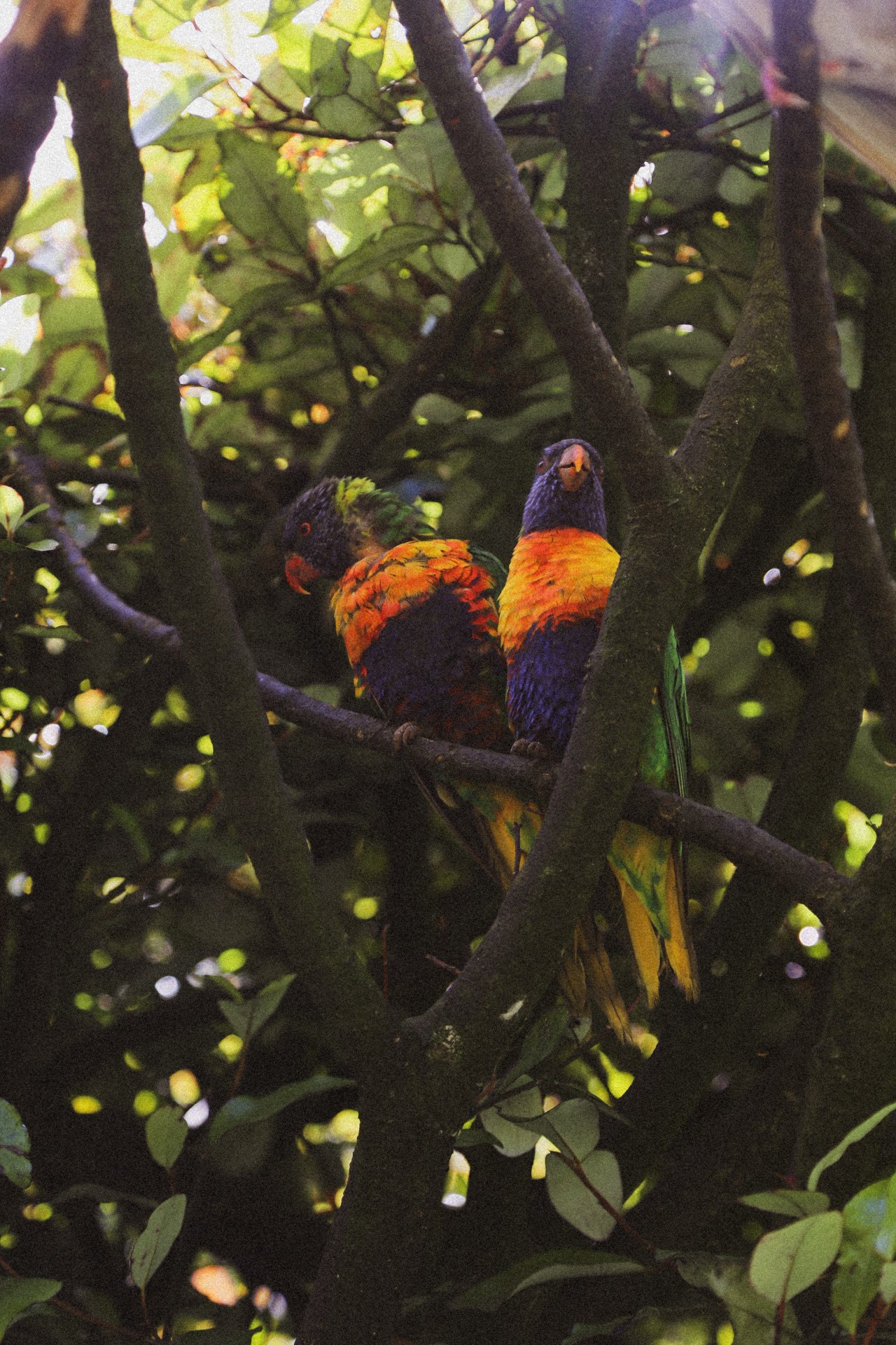 What's on at Staglands | Wellington | Staglands Wildlife Reserve