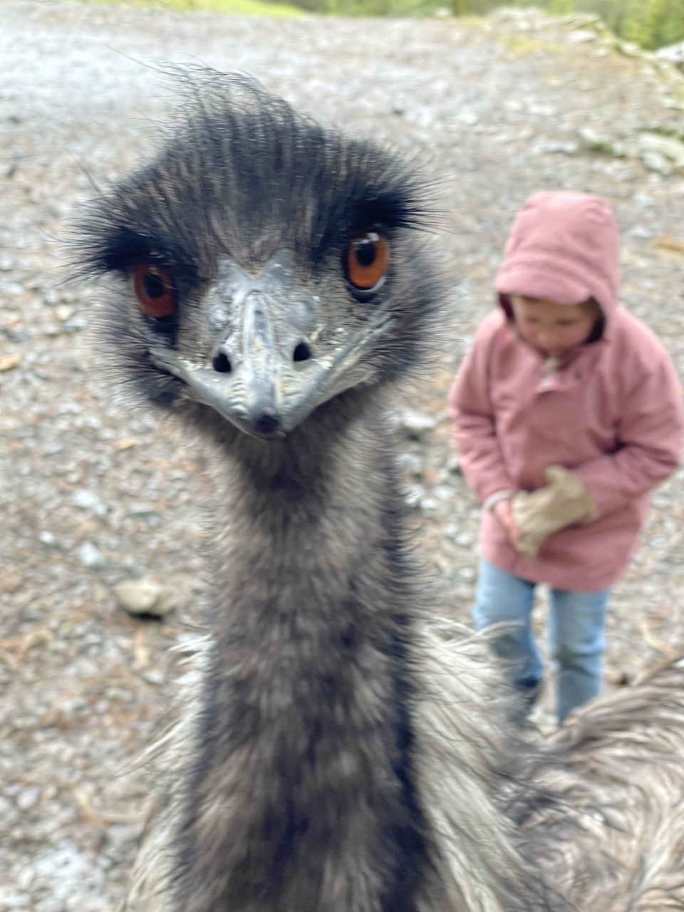 What's on at Staglands | Wellington | Staglands Wildlife Reserve