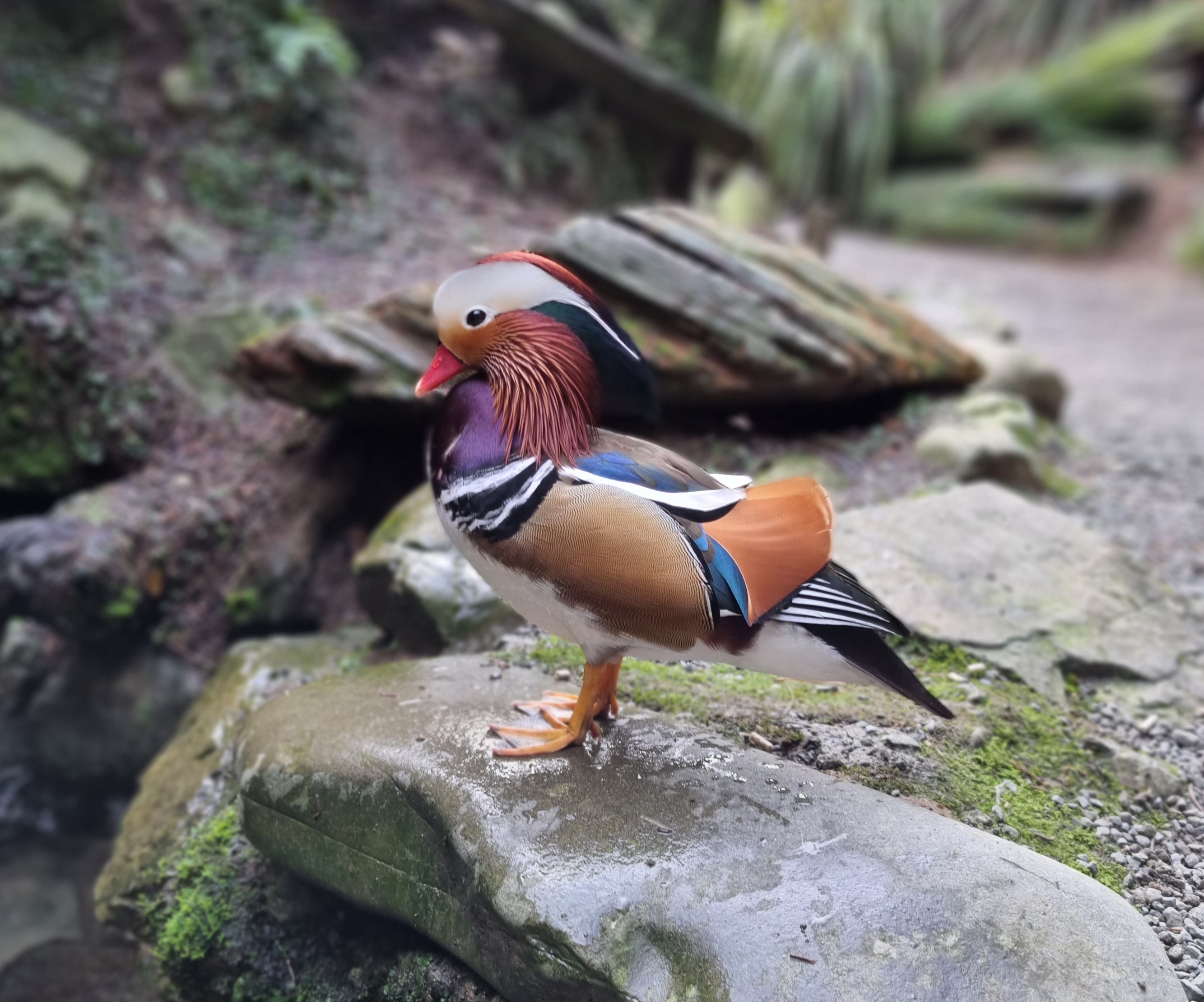 What's on at Staglands | Wellington | Staglands Wildlife Reserve