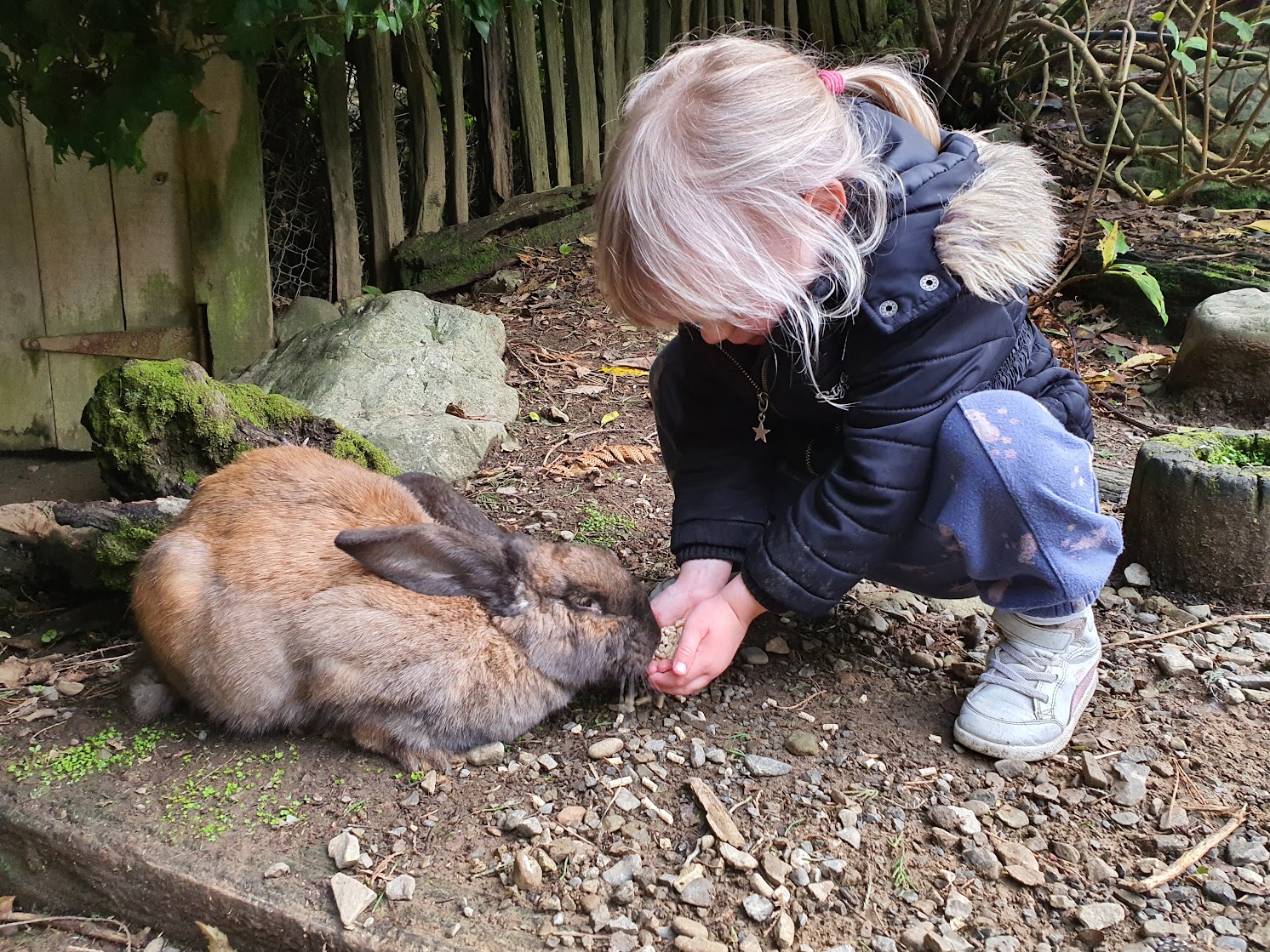 What's on at Staglands | Wellington | Staglands Wildlife Reserve