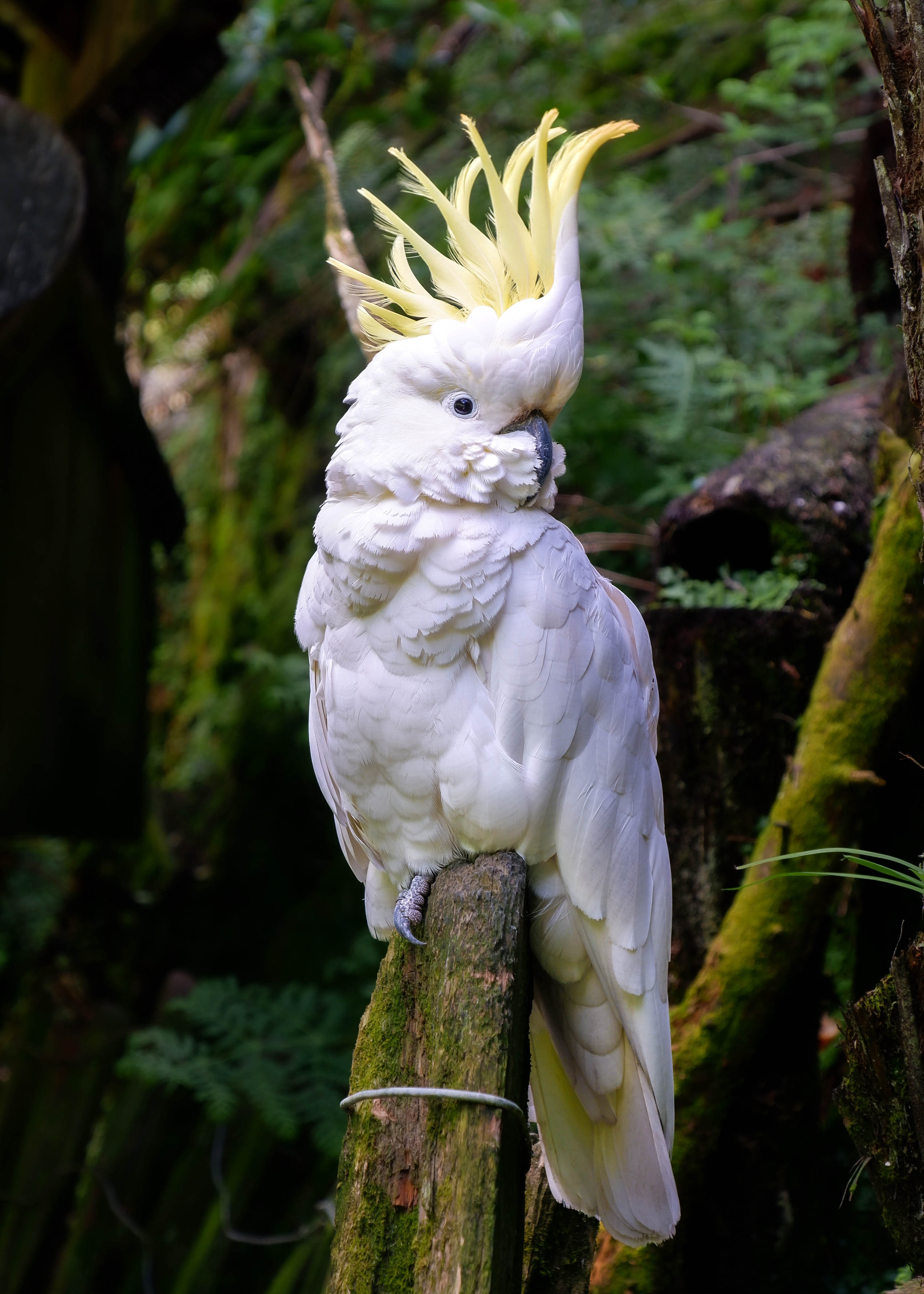 What's on at Staglands | Wellington | Staglands Wildlife Reserve