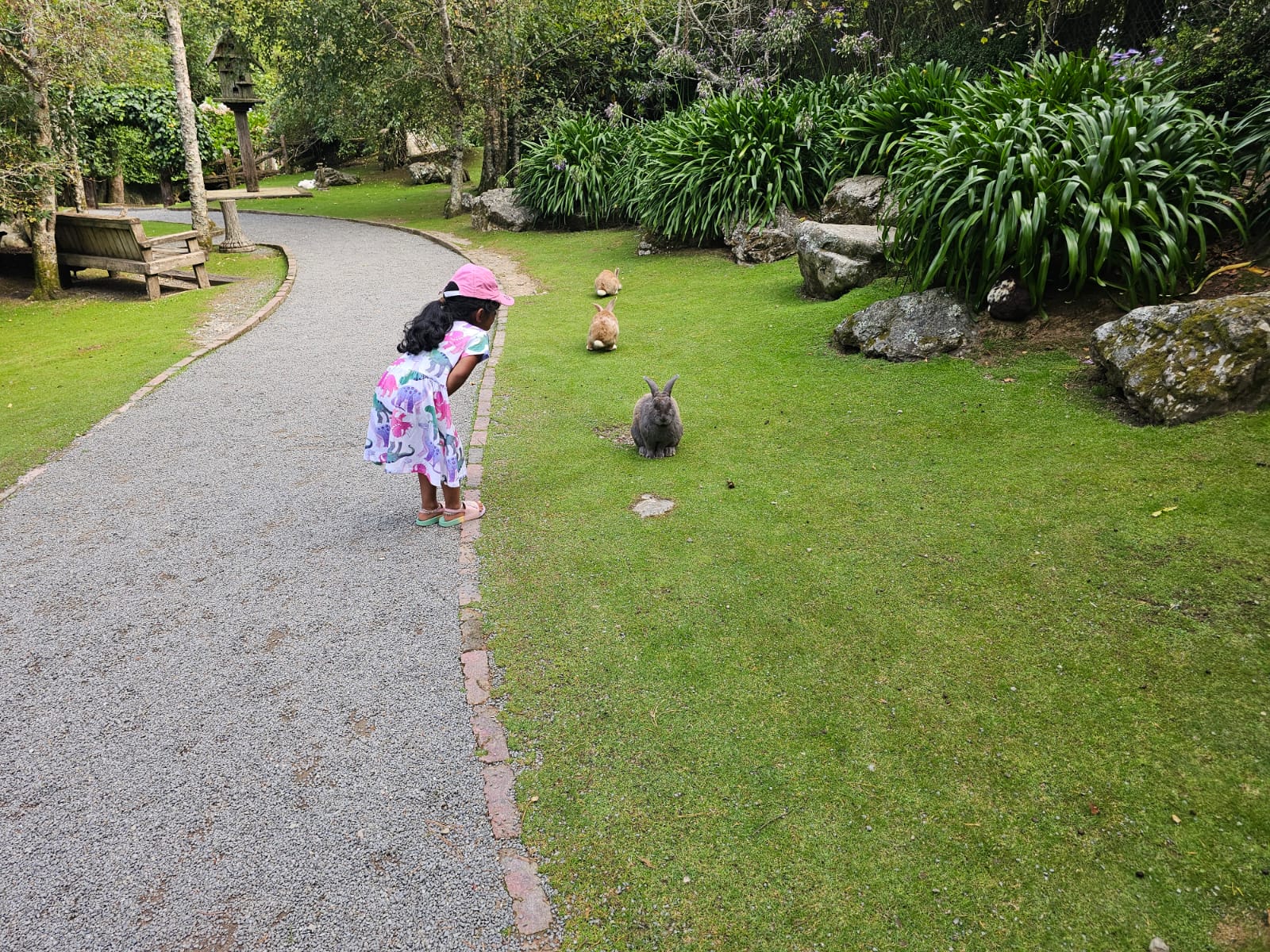 What's on at Staglands | Wellington | Staglands Wildlife Reserve