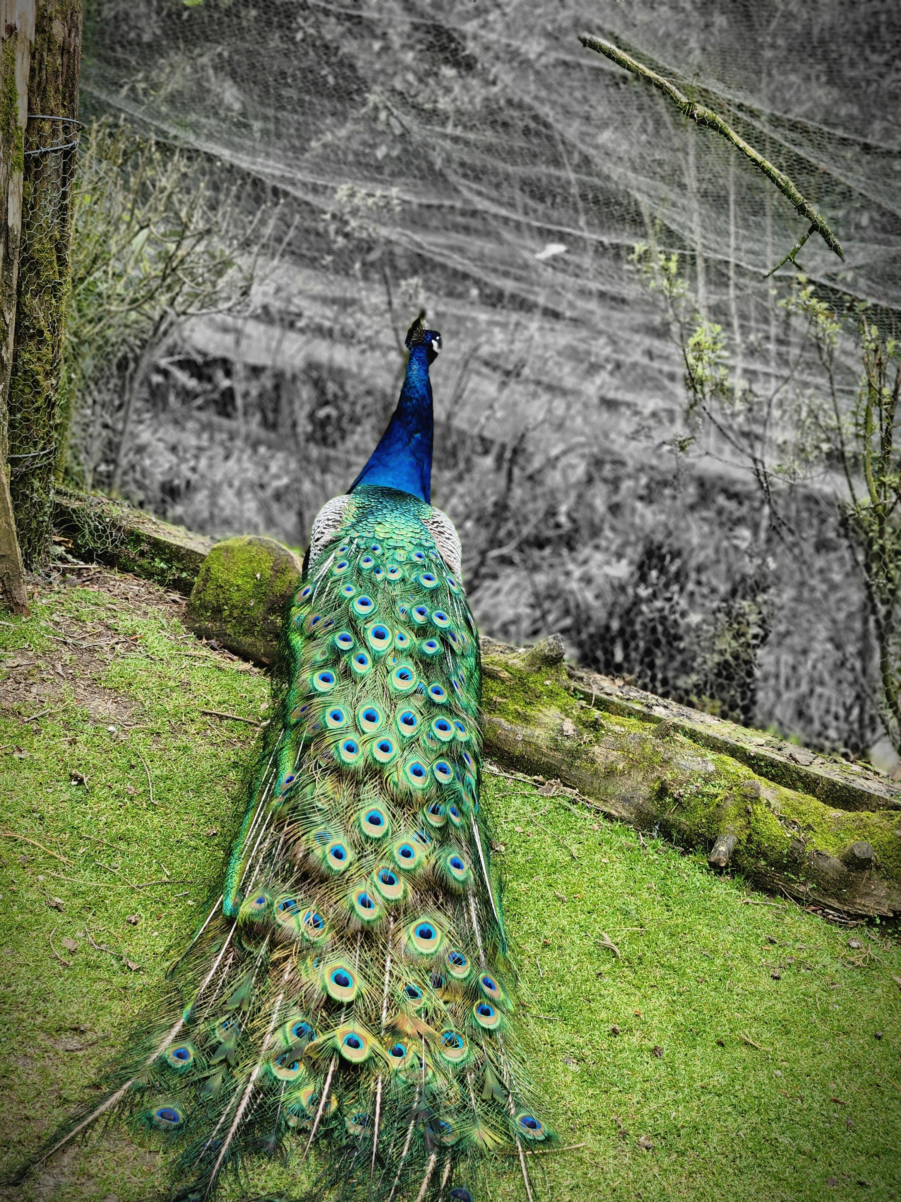 What's on at Staglands | Wellington | Staglands Wildlife Reserve