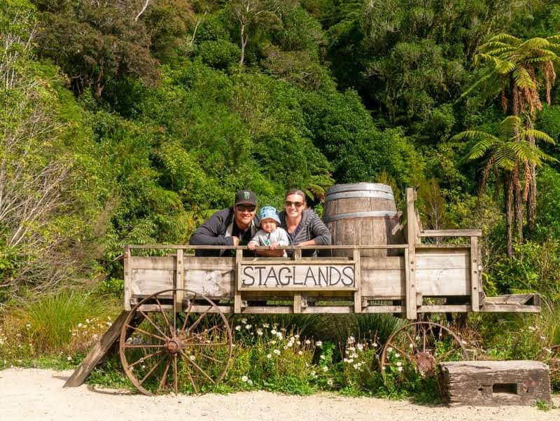 What's on at Staglands | Wellington Attractions | Wildlife Park ...