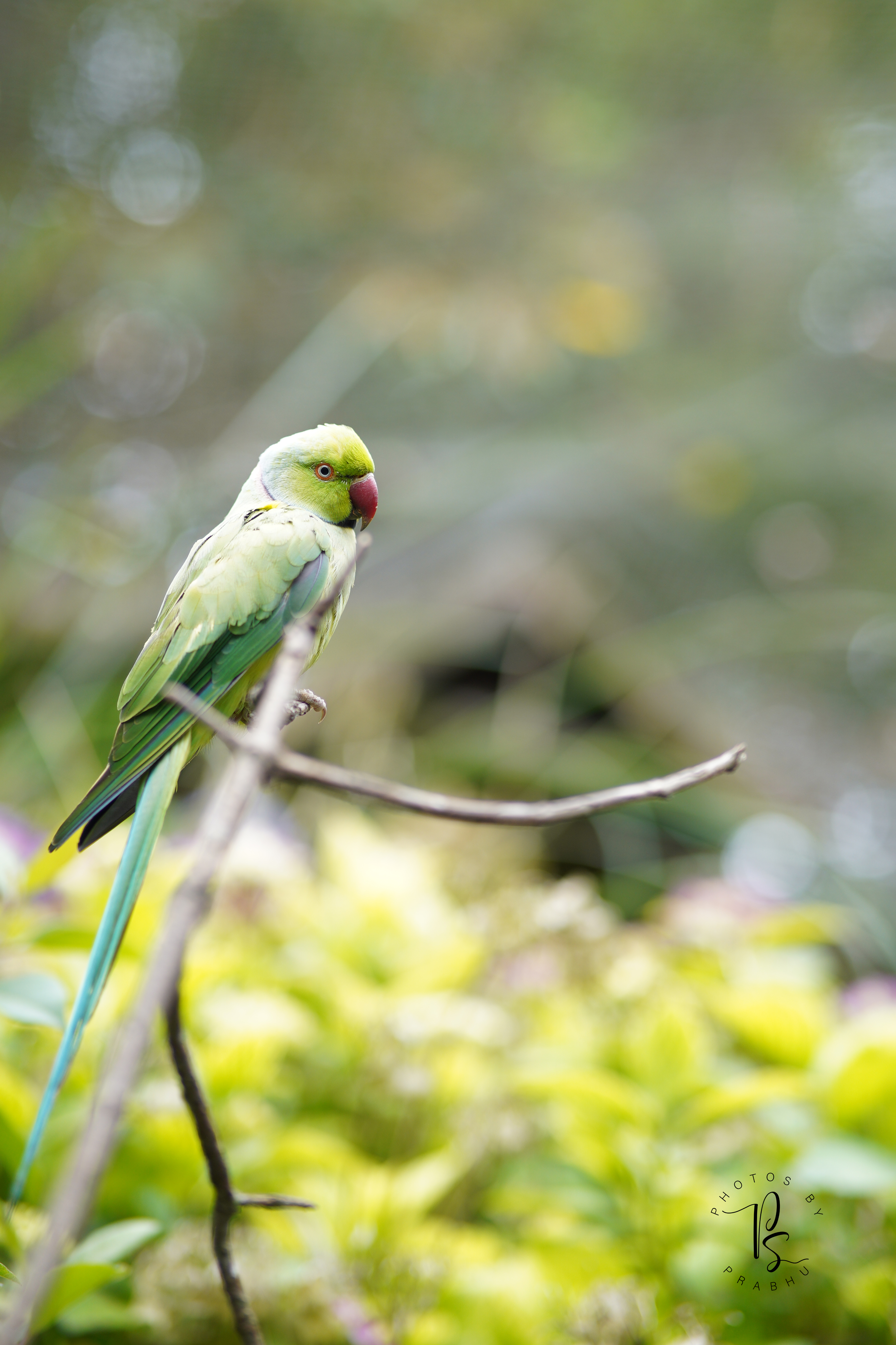 What's on at Staglands | Wellington | Staglands Wildlife Reserve