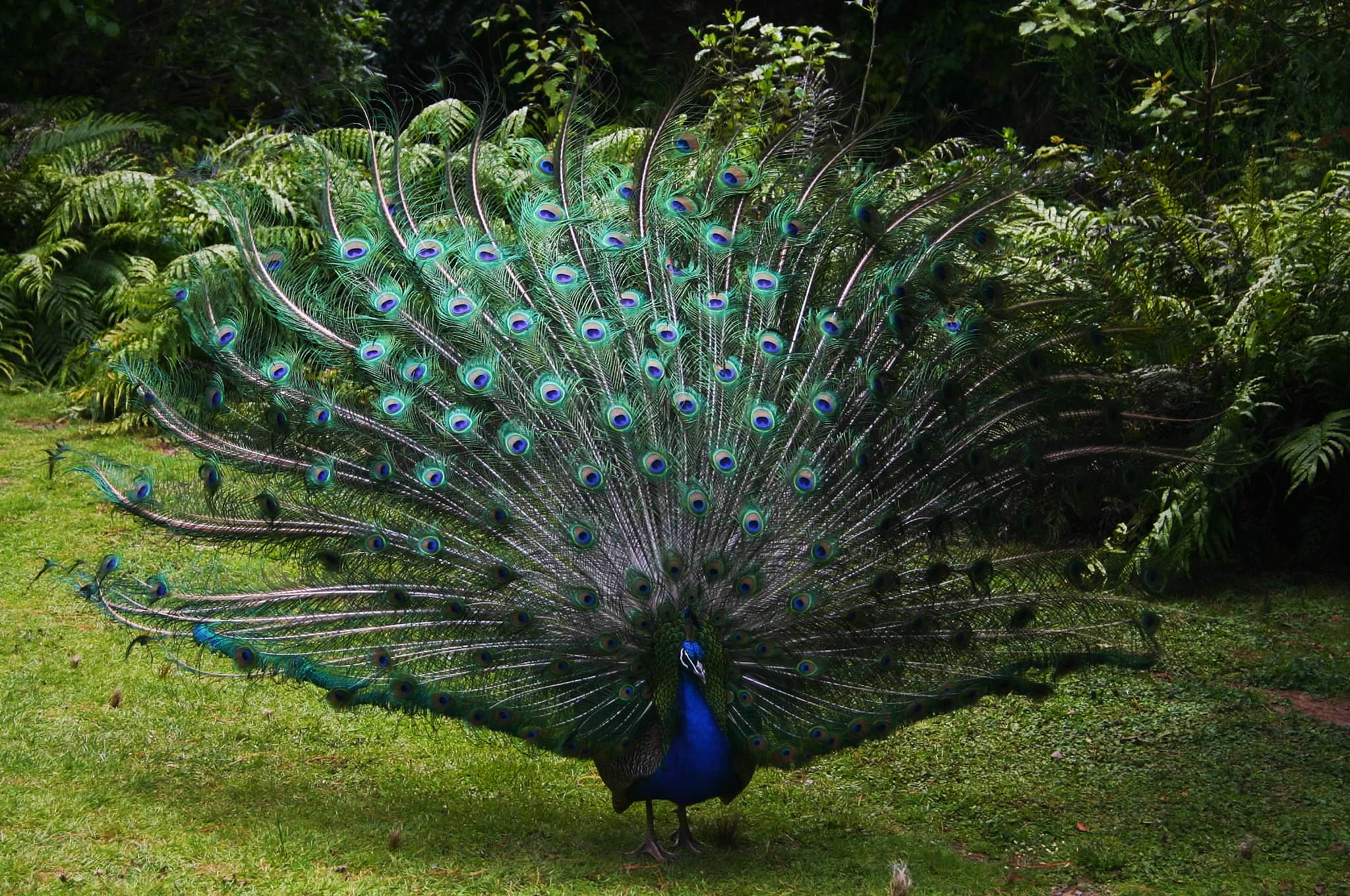 What's on at Staglands | Wellington | Staglands Wildlife Reserve