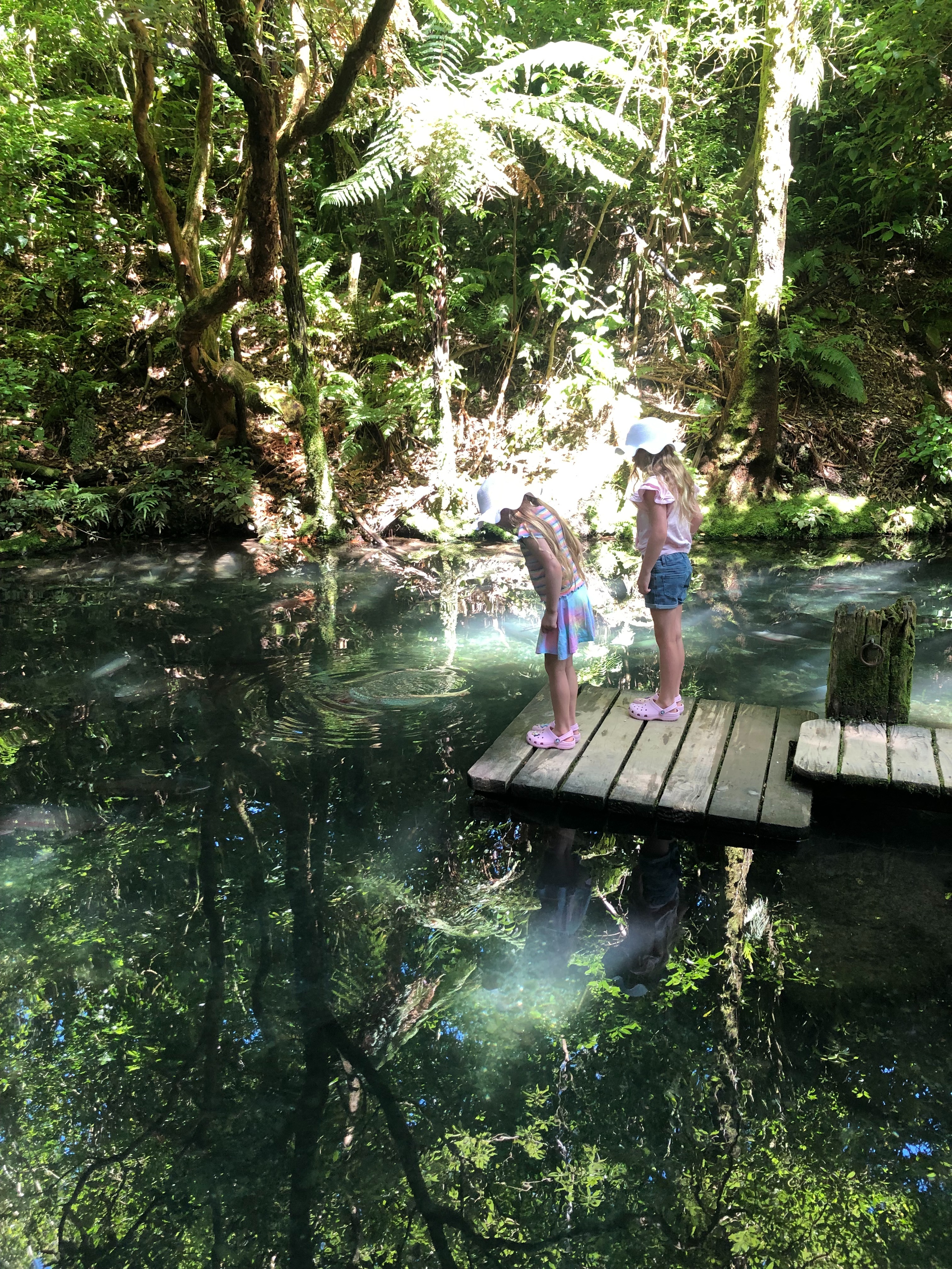 What's on at Staglands | Wellington | Staglands Wildlife Reserve