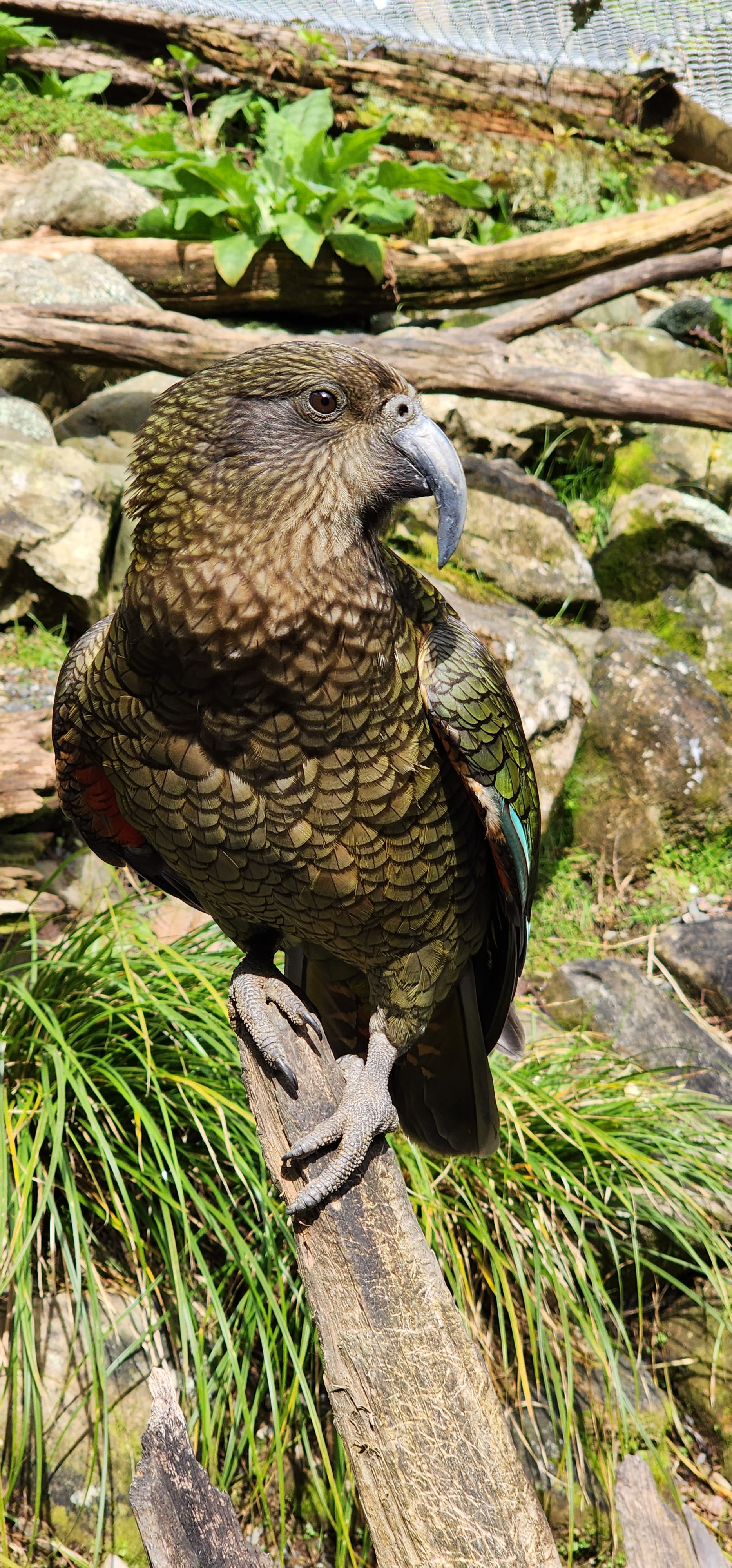 What's on at Staglands | Wellington | Staglands Wildlife Reserve