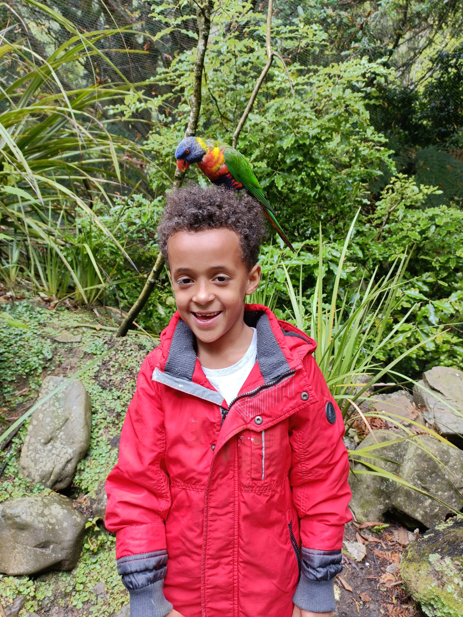 What's on at Staglands | Wellington | Staglands Wildlife Reserve