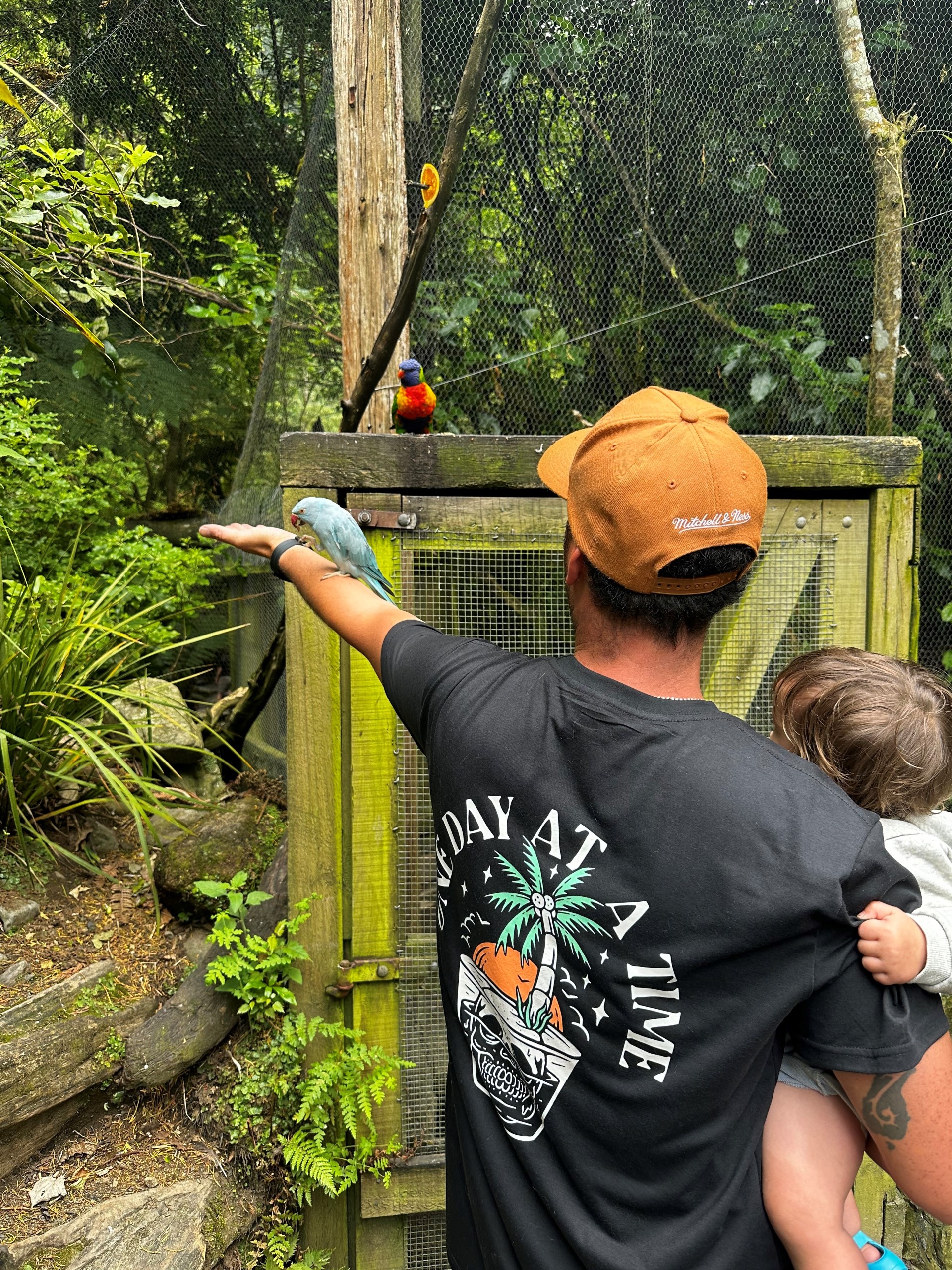 What's on at Staglands | Wellington | Staglands Wildlife Reserve