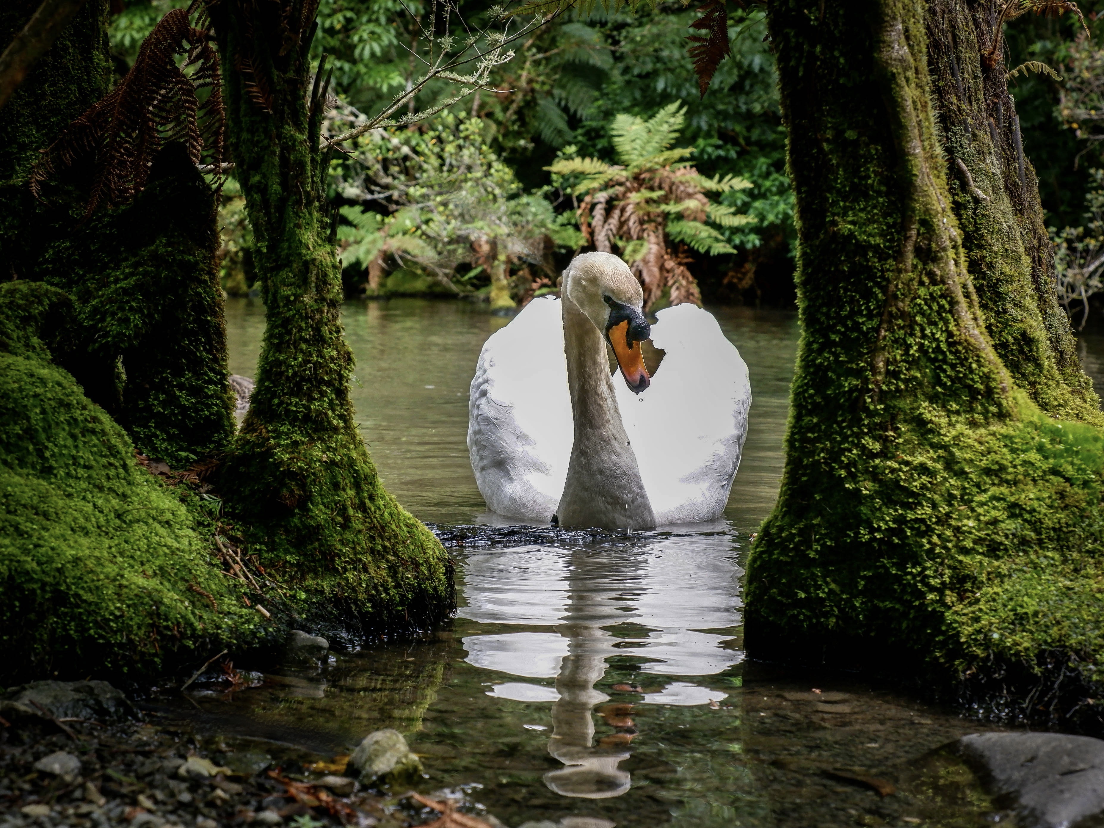 What's on at Staglands | Wellington | Staglands Wildlife Reserve